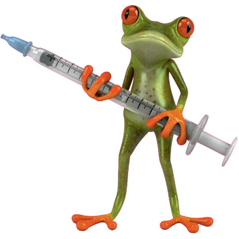 Autocollants et Stickers Grenouilles | Stickers-garage.com