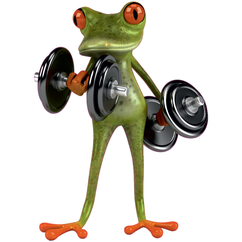 Autocollants et Stickers Grenouilles | Stickers-garage.com