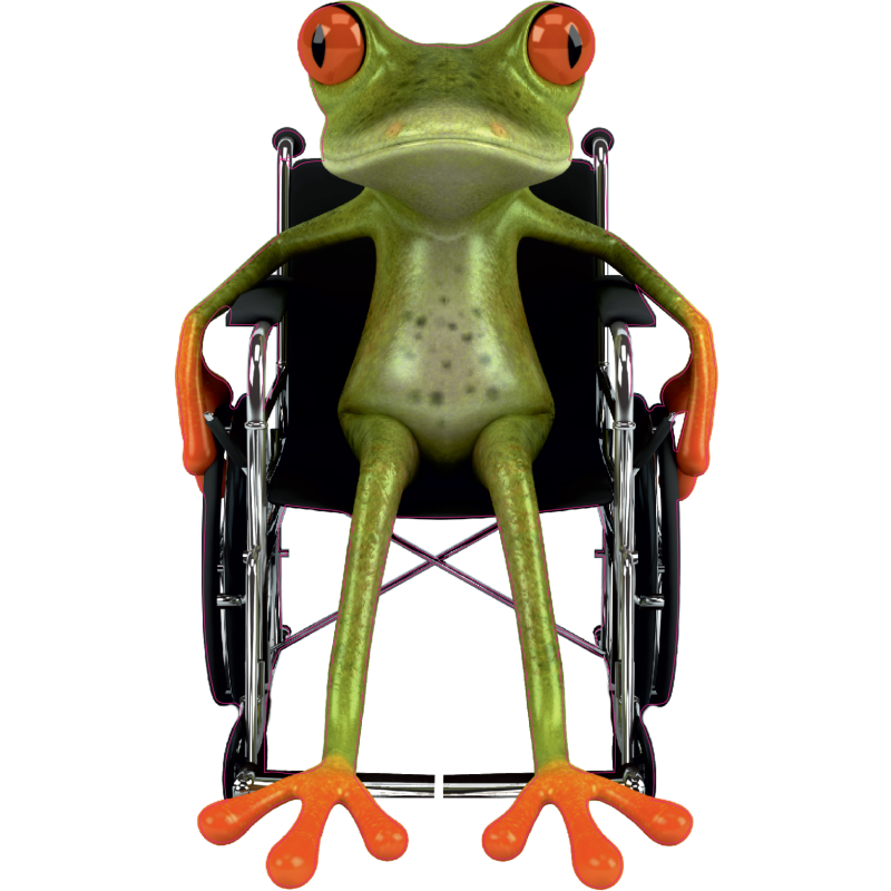 Autocollants et Stickers Grenouilles | Stickers-garage.com